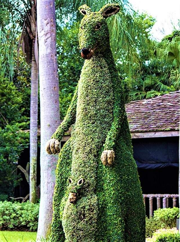 Solve Kangaroo and Baby Joey Topiary- Busch Gardens- Tampa, Florida ...