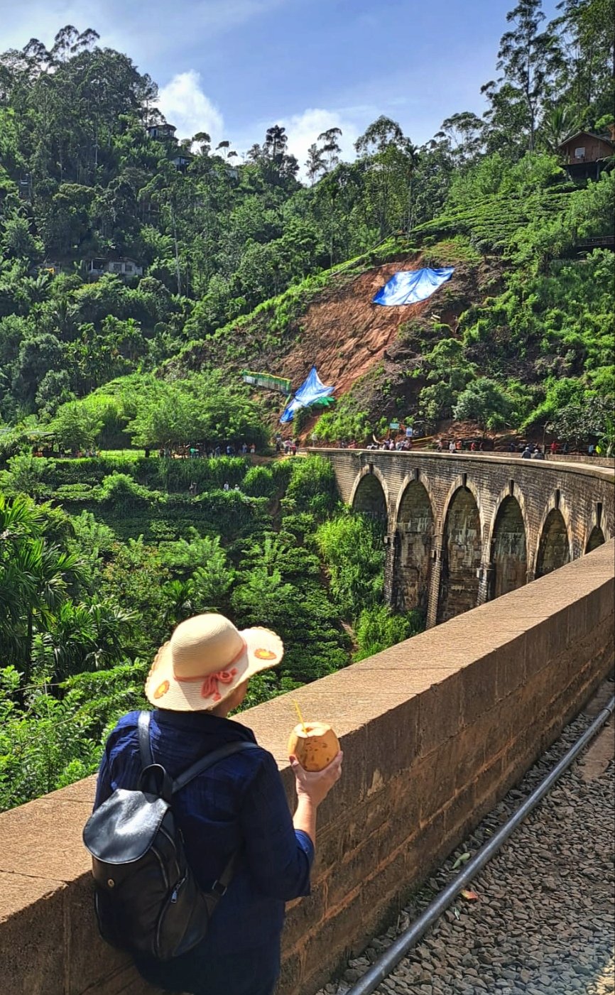 Solve Nine Arch Bridge jigsaw puzzle online with 84 pieces