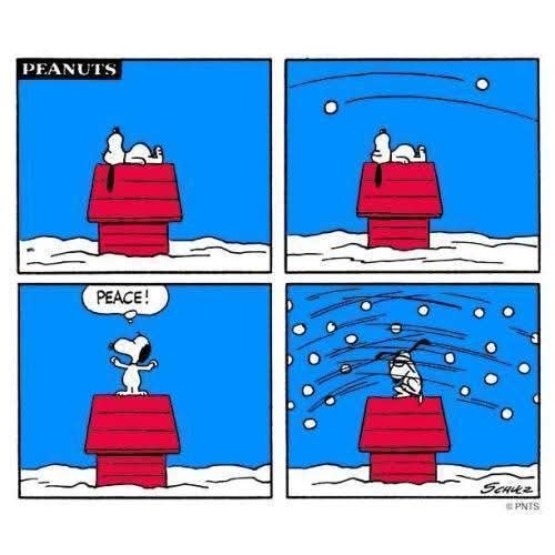 Solve Well, you tried, Snoopy! 🫣🫣 jigsaw puzzle online with 25 pieces