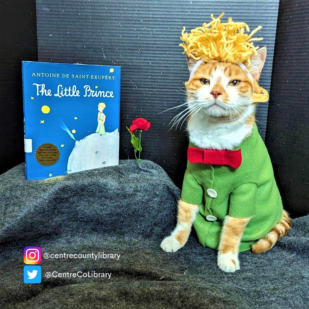Solve Cat Icon Game #225 - Horatio the Library Cat celebrates "The ...