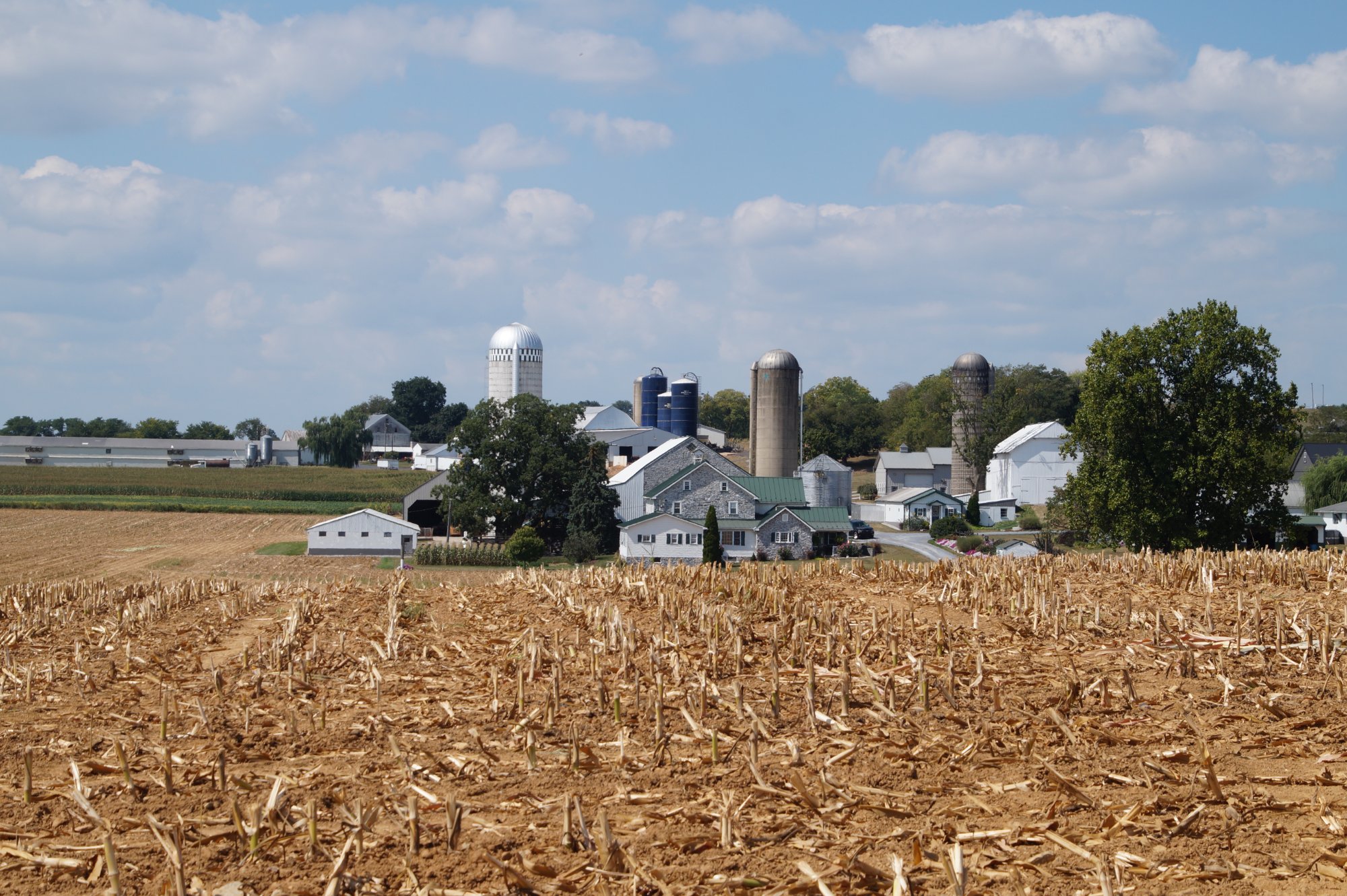 Solve Transition jigsaw puzzle online with 126 pieces