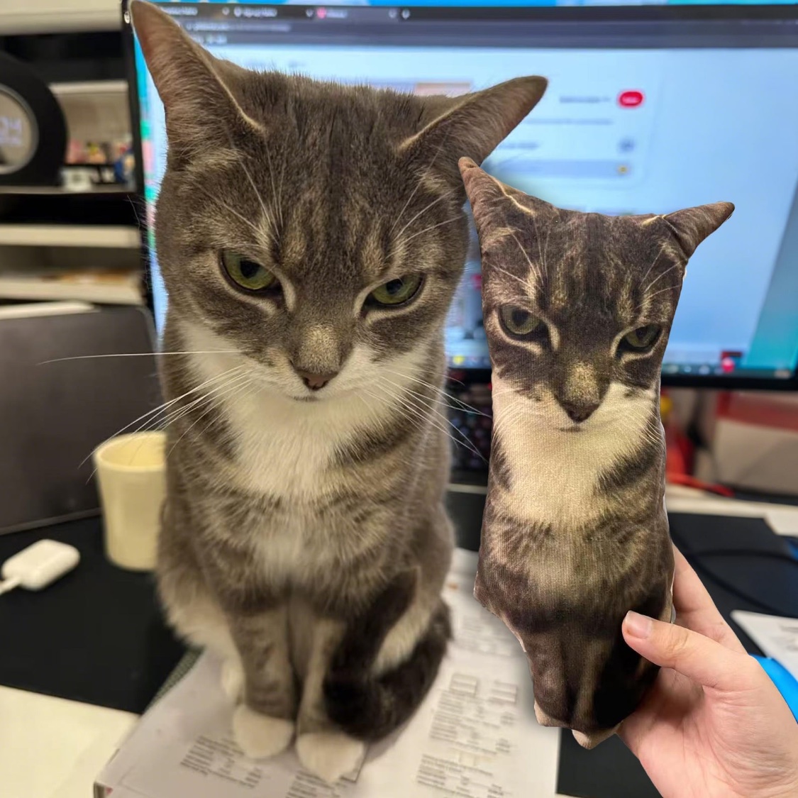 Solve How to really annoy your cat 🐱 jigsaw puzzle online with 9 pieces
