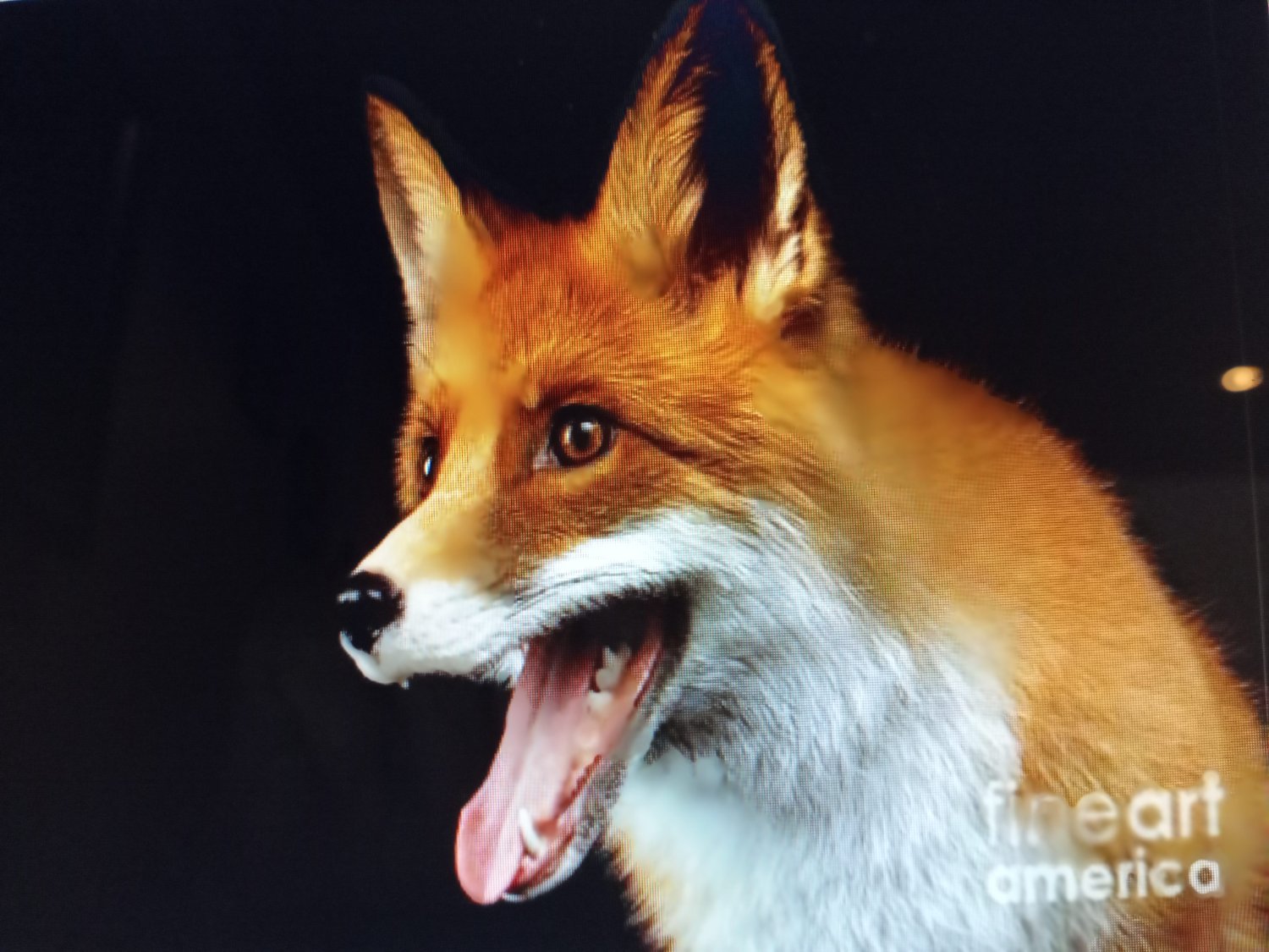 Solve It's interested in something!! jigsaw puzzle online with 20 pieces