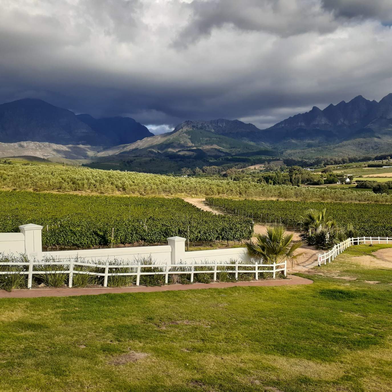Solve Winelands near Wellington, South Africa. jigsaw puzzle online ...