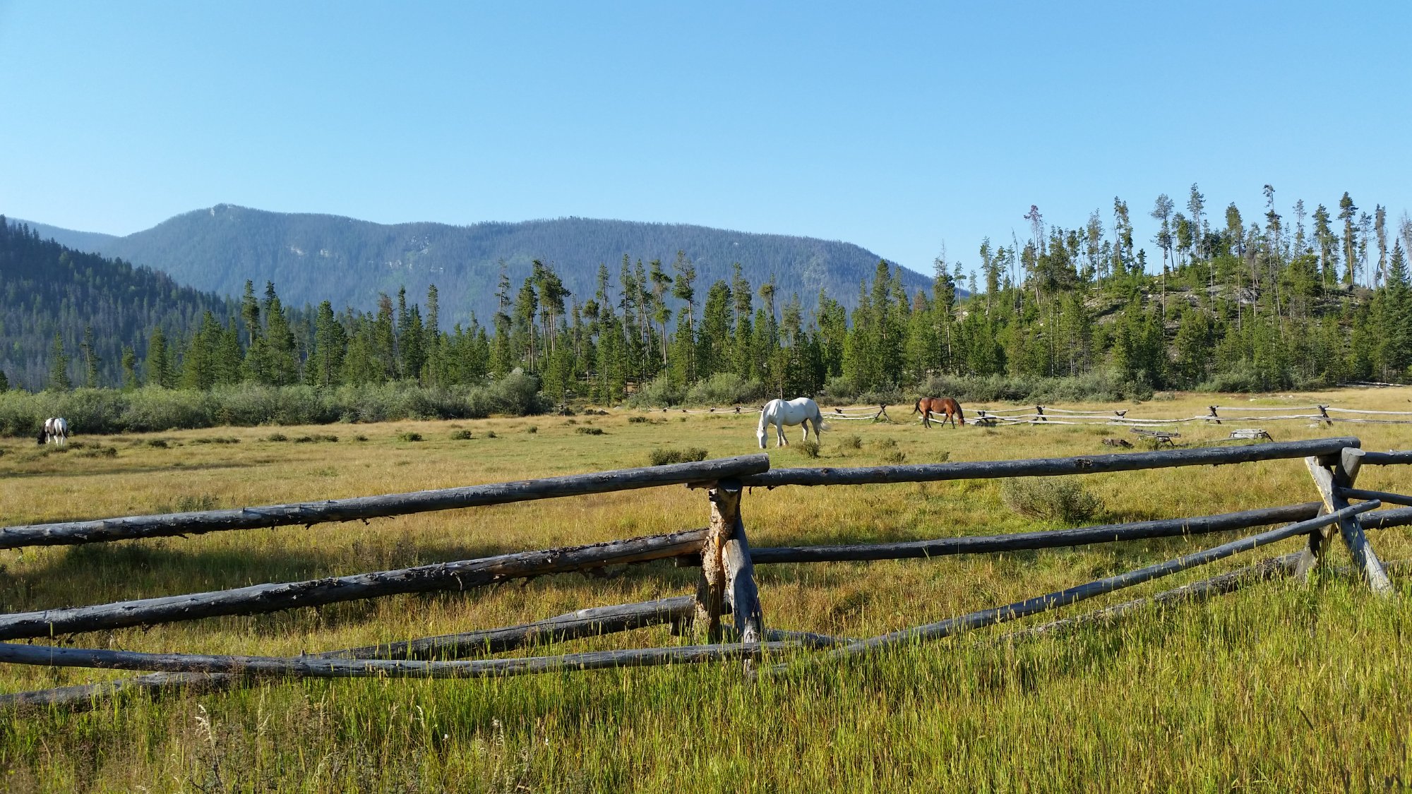 Solve Colorado jigsaw puzzle online with 104 pieces