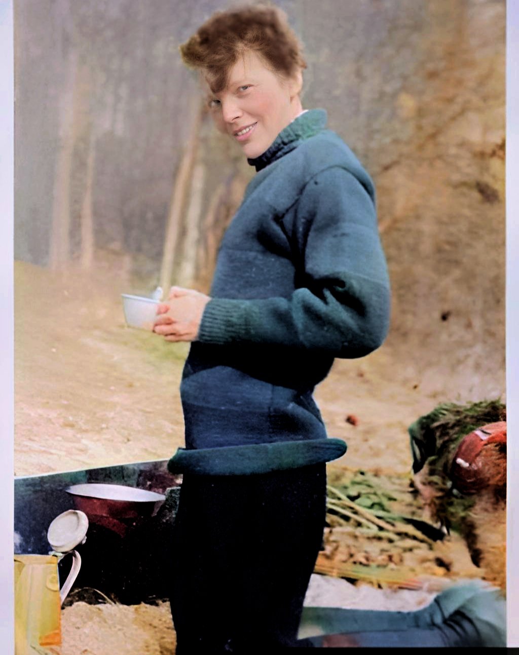 Solve Amelia Earhart. jigsaw puzzle online with 120 pieces