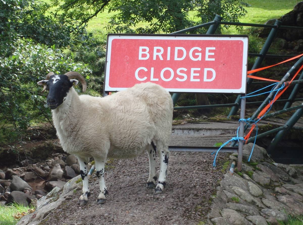 Solve Bridge Closed! jigsaw puzzle online with 88 pieces