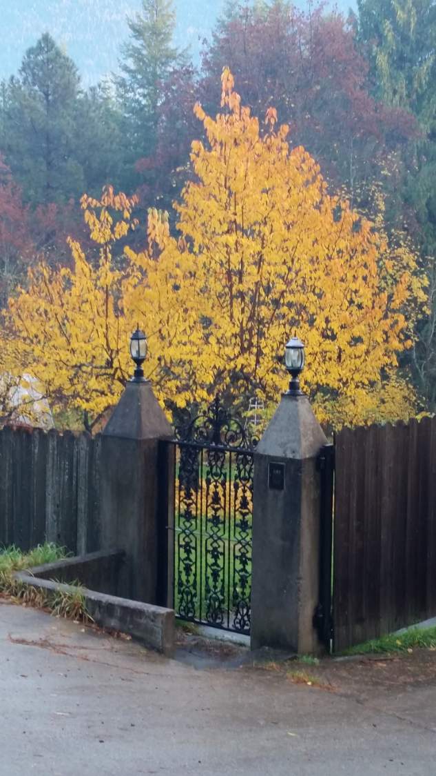 Jigsaw Puzzle | Fall colors | 40 pieces | Jigidi