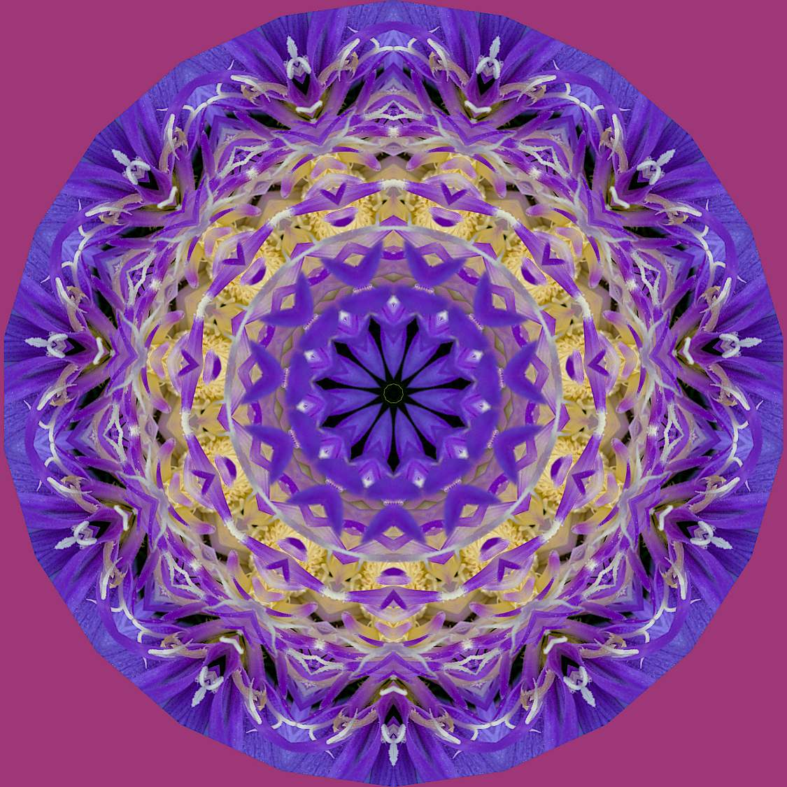 Jigsaw Puzzle | #2 small | 64 pieces | Jigidi