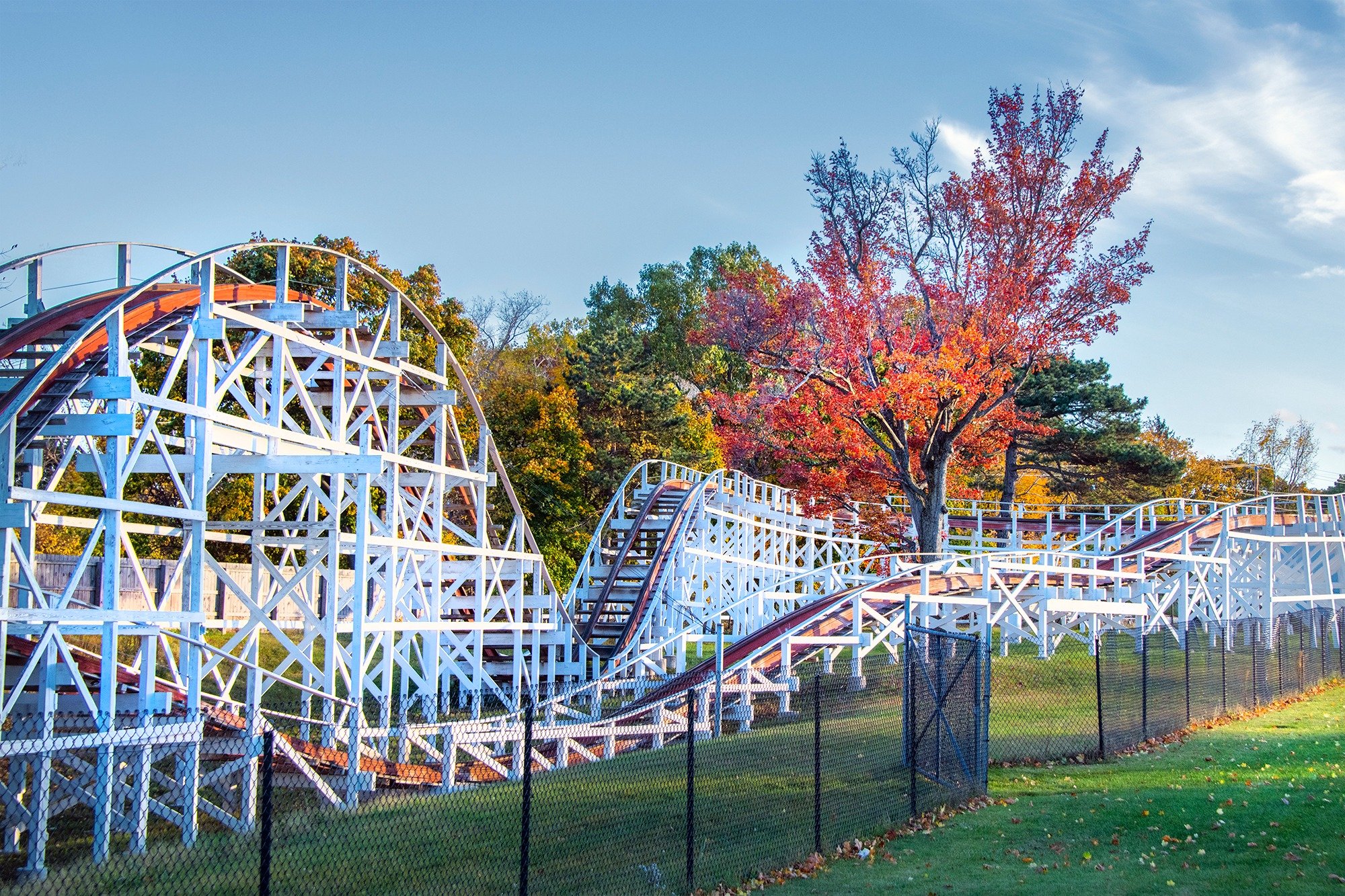 Solve Jack Rabbit jigsaw puzzle online with 77 pieces