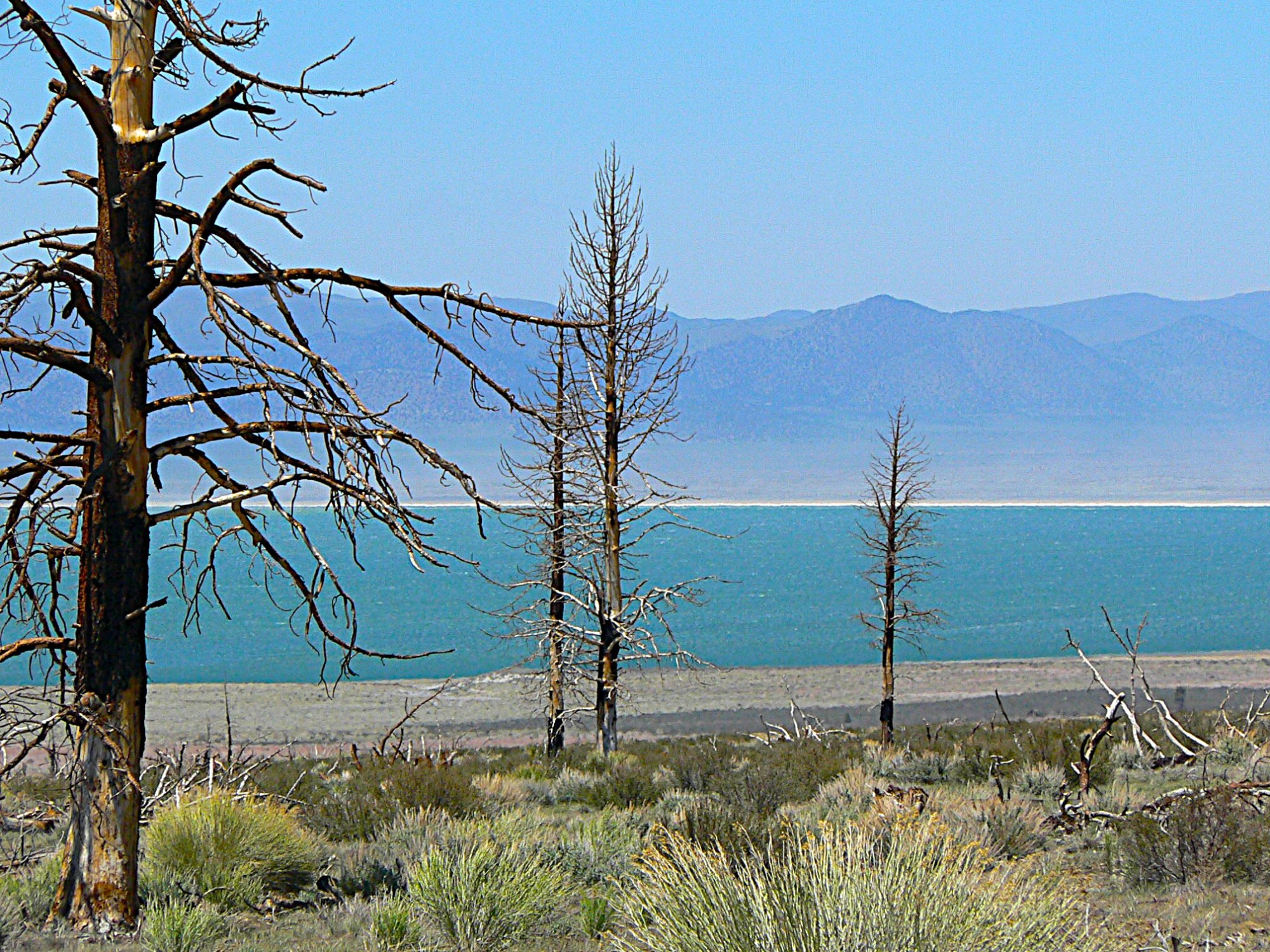 Solve Mono Lake, California jigsaw puzzle online with 80 pieces