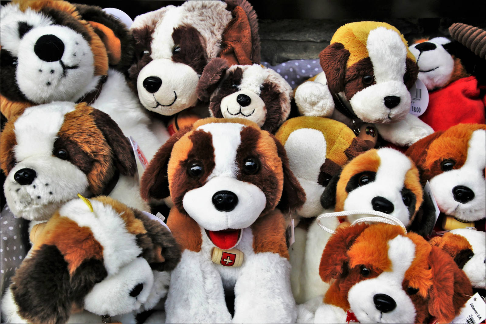 Solve Dogs jigsaw puzzle online with 442 pieces