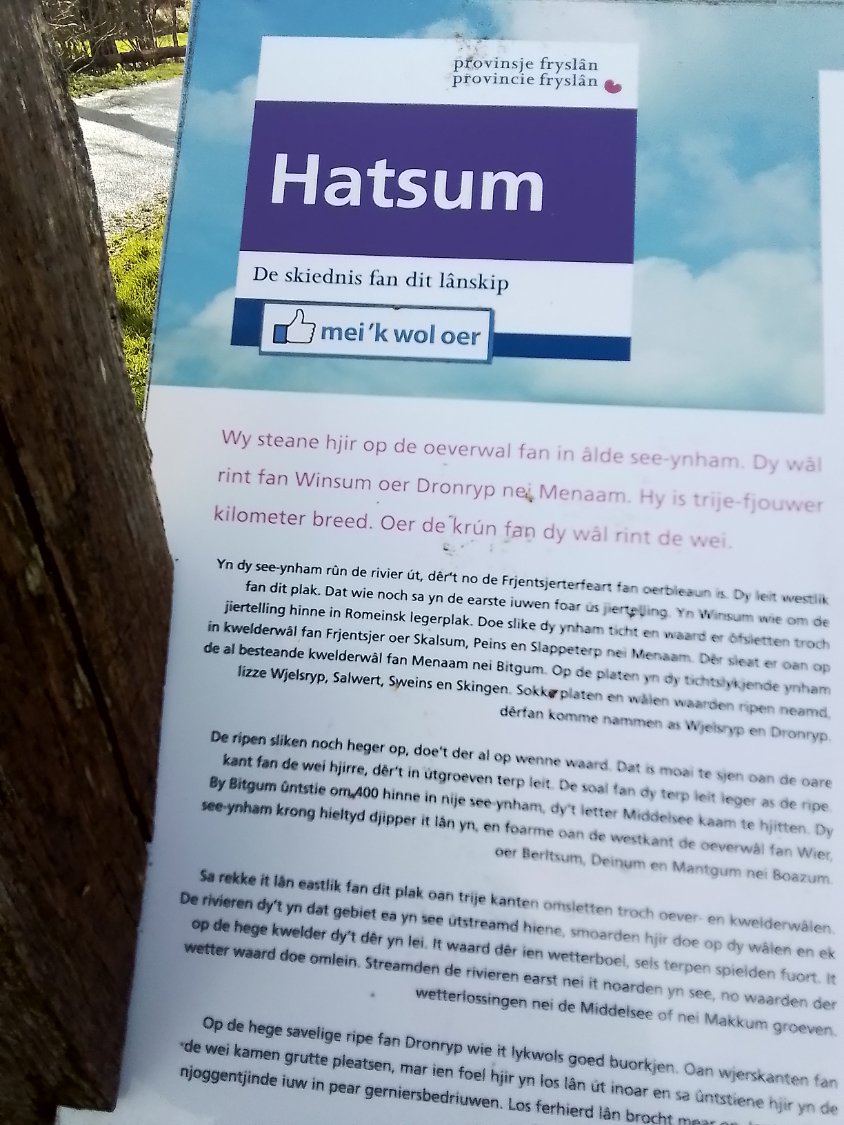 Solve Hatsum Fryslân Netherlands jigsaw puzzle online with 12 pieces