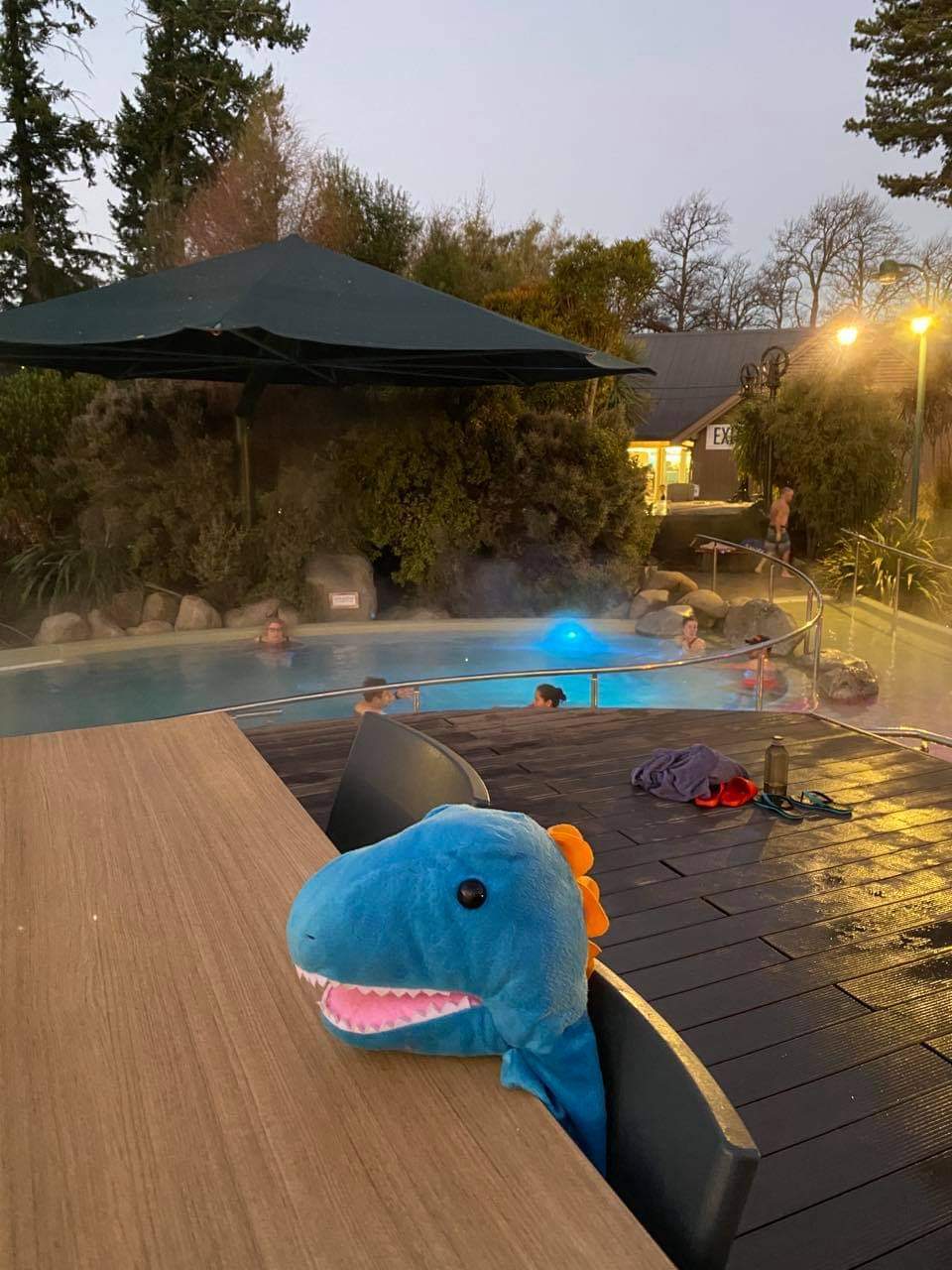 Solve Chilling at the hot springs jigsaw puzzle online with 108 pieces