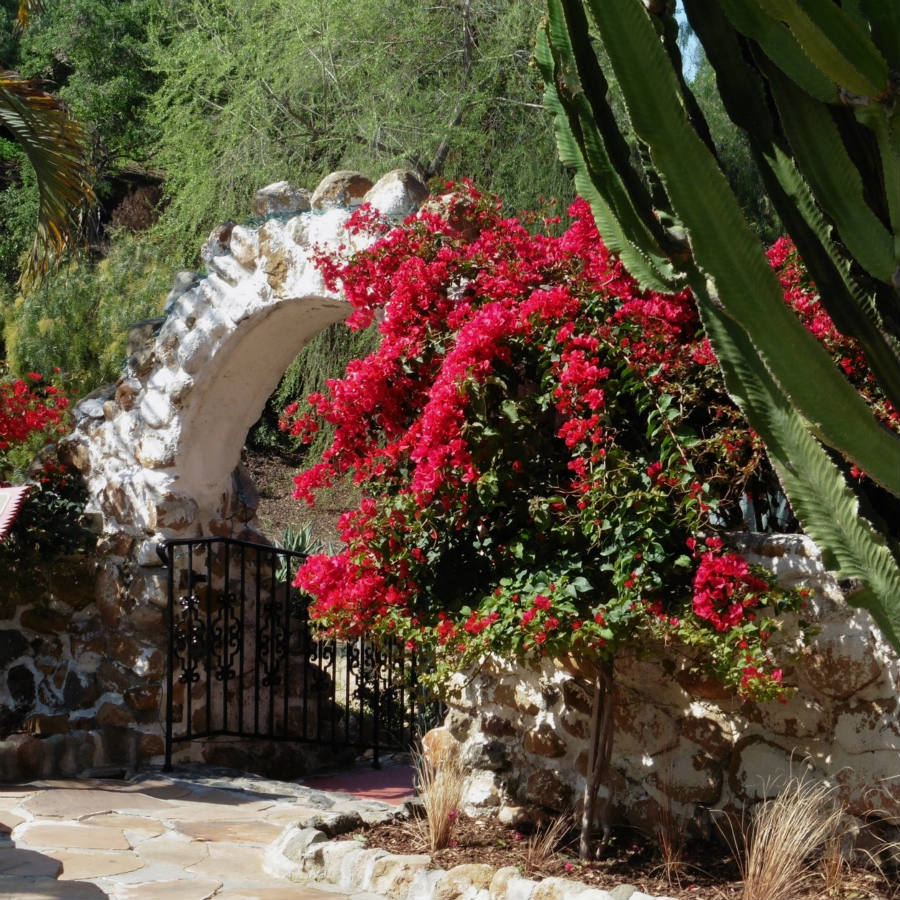 Jigsaw Puzzle | 64 pieces | Leo Carrillo Ranch #2 | Jigidi