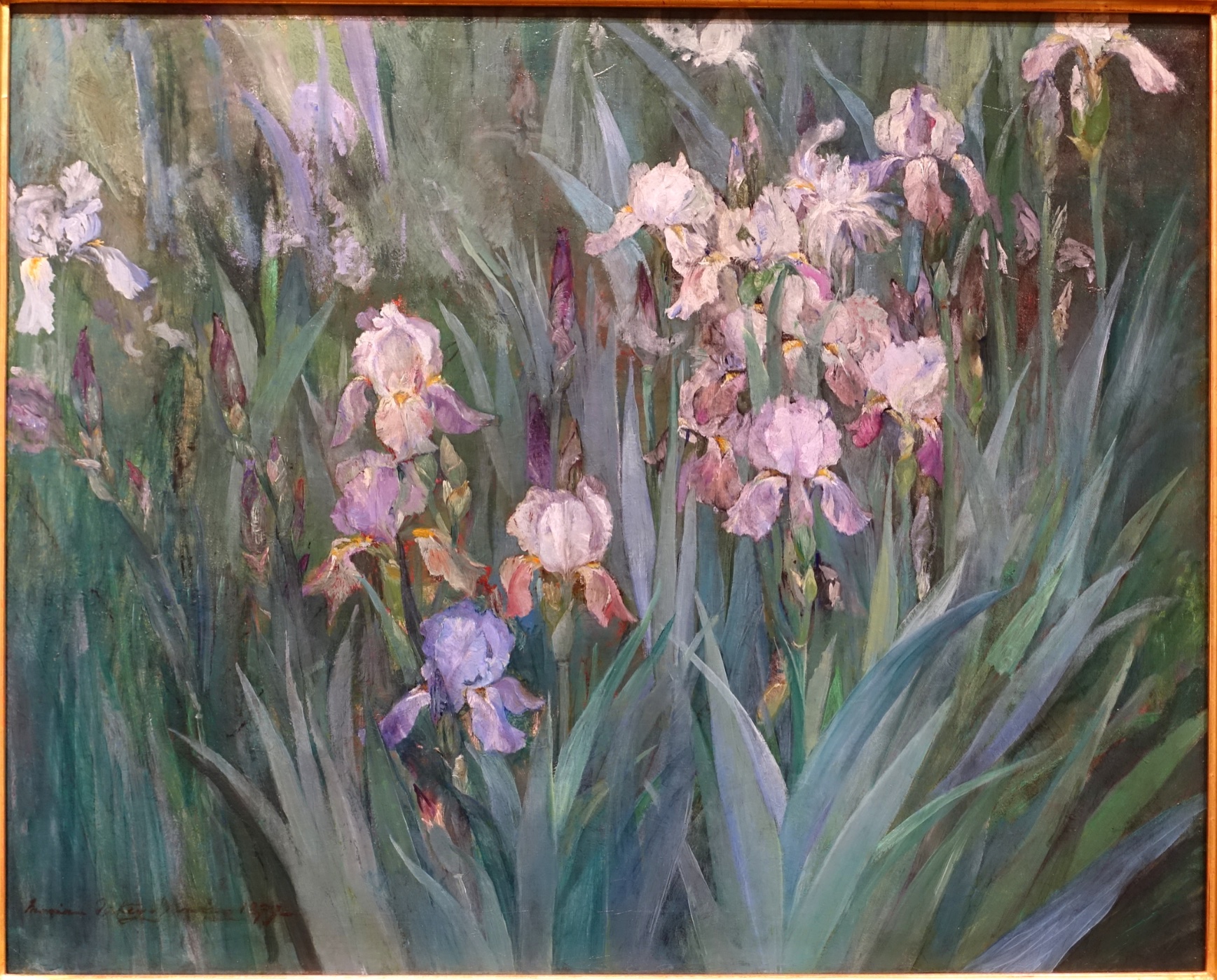 Solve Iris at Dawn, Maria Oakey Dewing, 1899, Oil on Canvas jigsaw ...