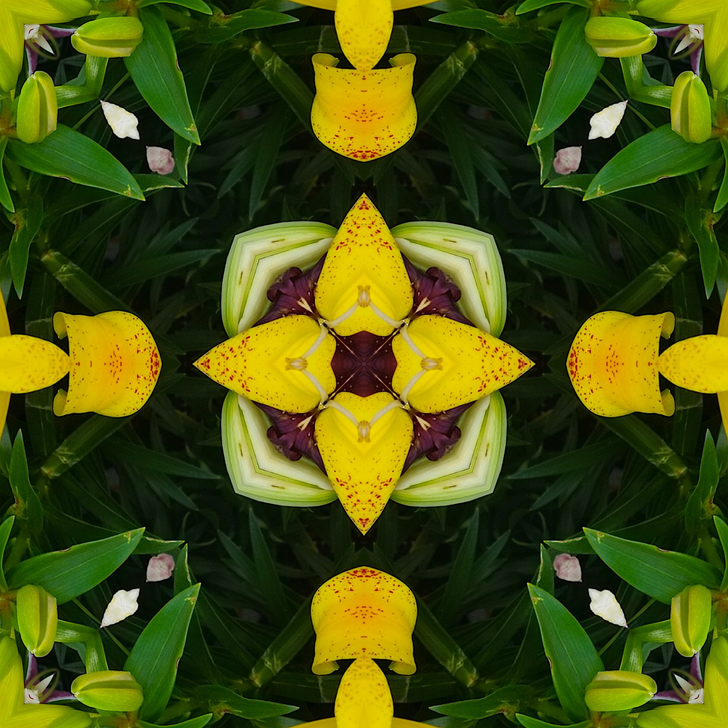 Solve #2 small jigsaw puzzle online with 64 pieces