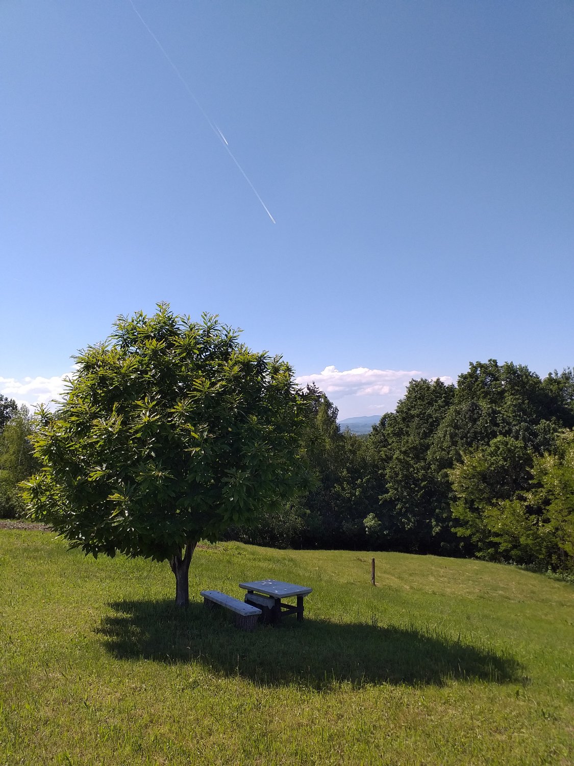 Solve Under the chestnut tree :) jigsaw puzzle online with 63 pieces