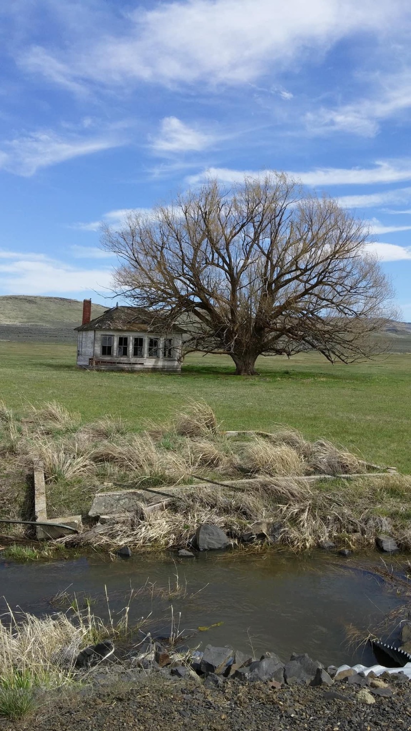 Solve Oregon jigsaw puzzle online with 198 pieces