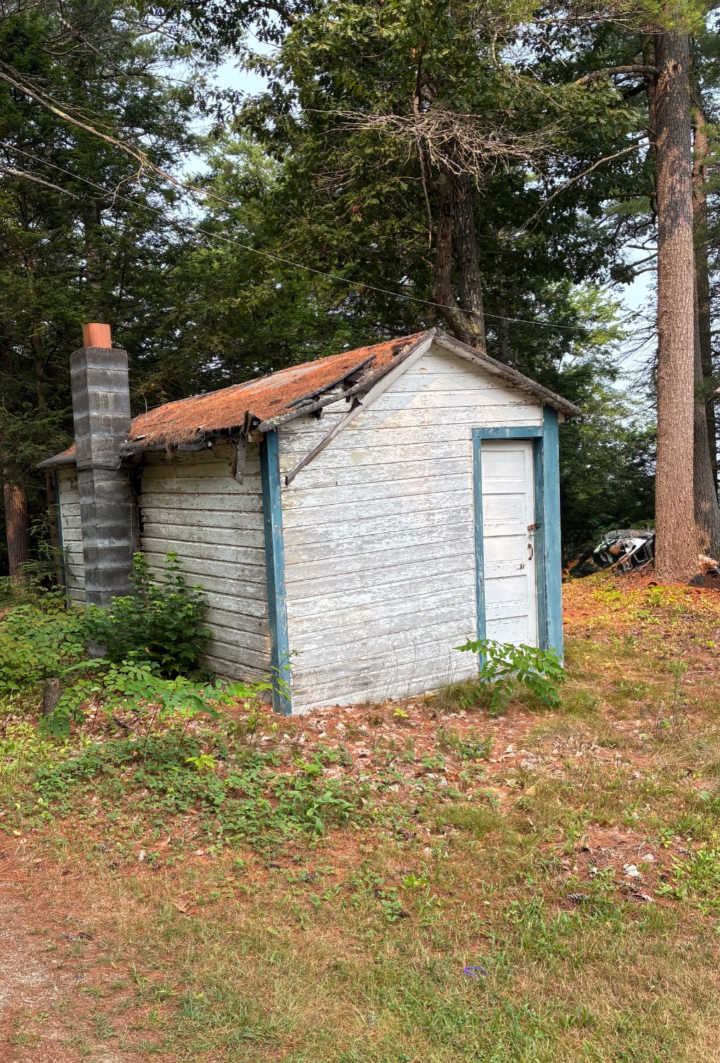 Solve Abandoned Finnish Sauna jigsaw puzzle online with 126 pieces
