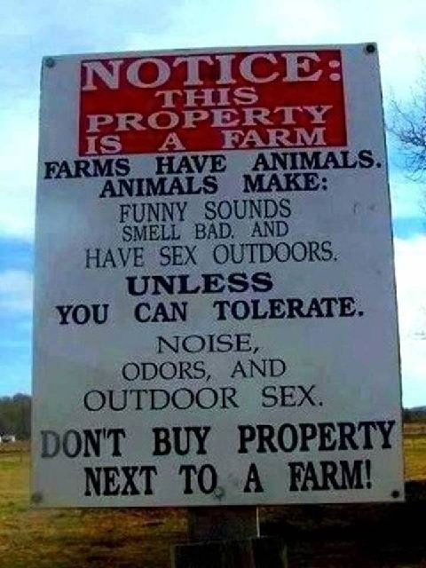 Solve funny signs jigsaw puzzle online with 12 pieces