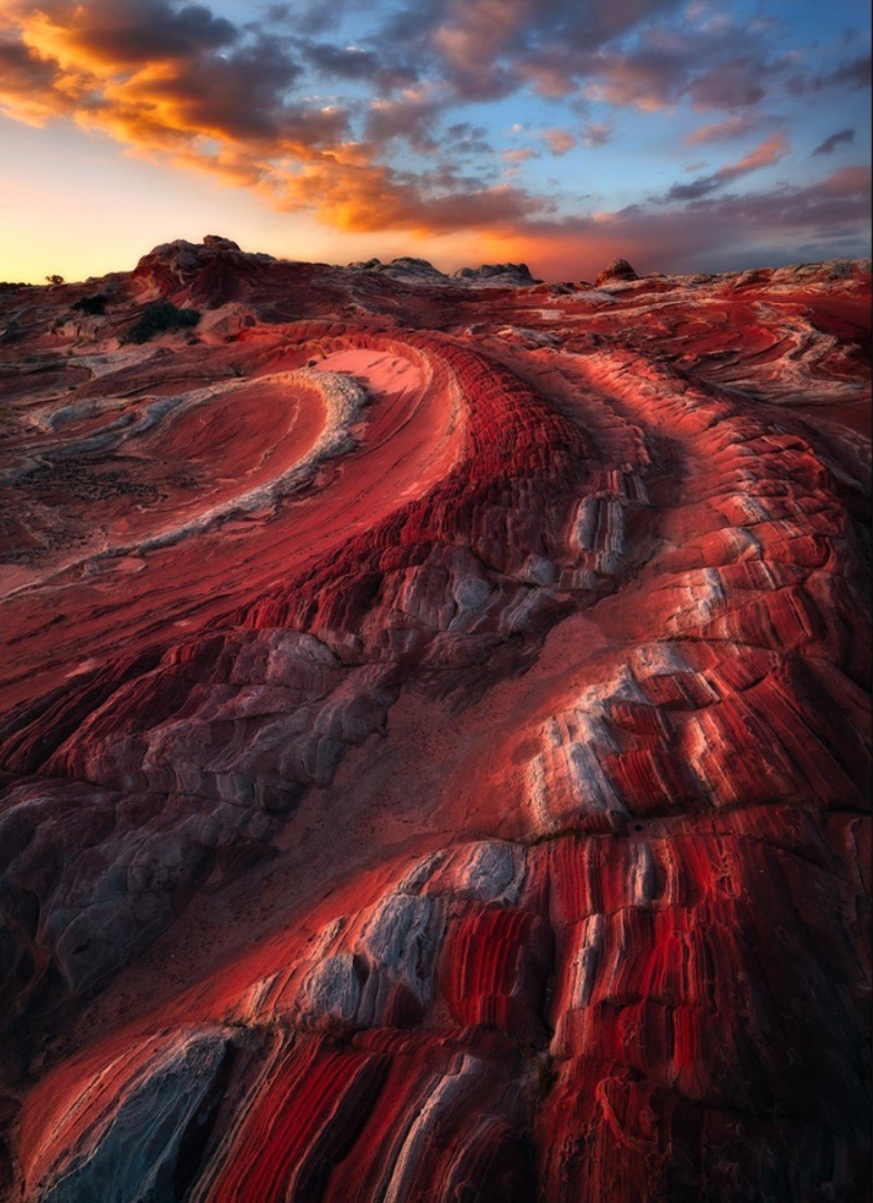 Solve Striking red and white sandstone formations in White Pocket in ...