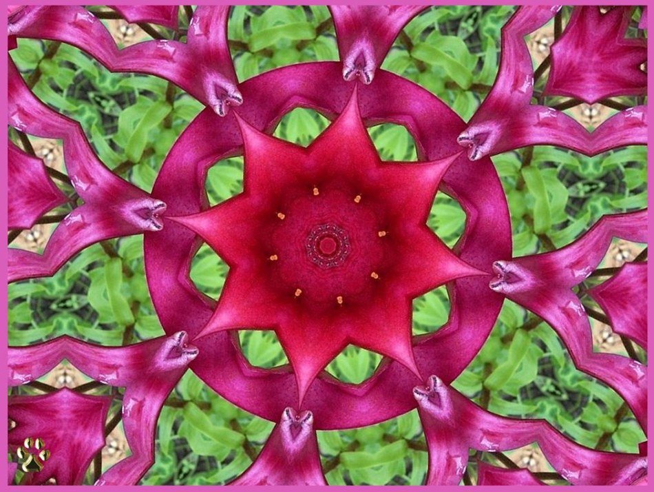 Solve flower power 03 jigsaw puzzle online with 30 pieces