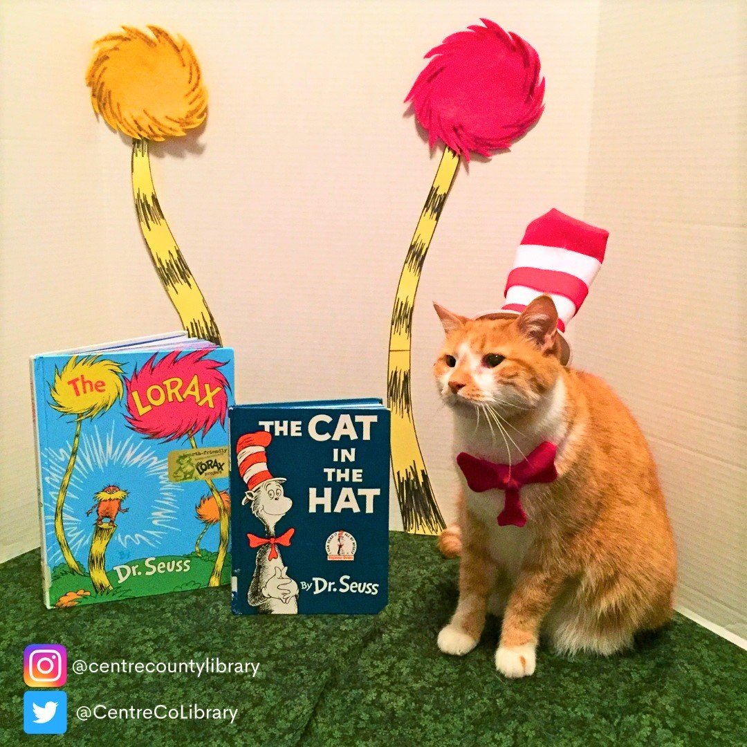 Solve Cat Icon Game #206 - Horatio the Library Cat celebrates Dr. Seuss ...