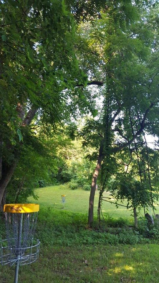 Solve Cordova IL Disc Golf Course jigsaw puzzle online with 144 pieces