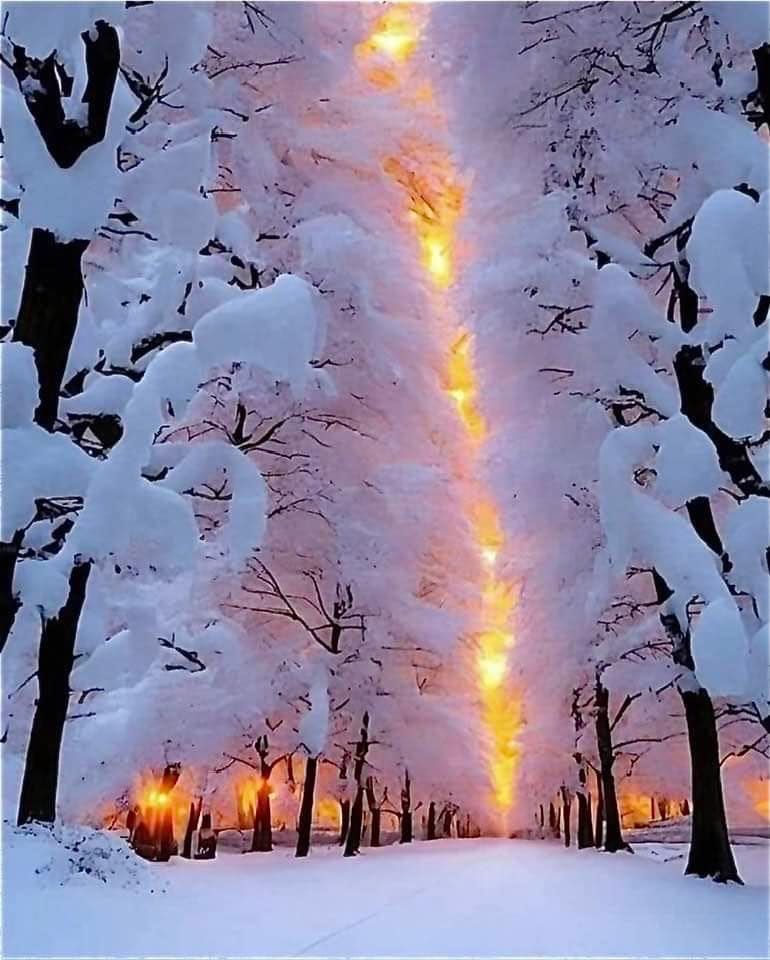 Solve Winter Lightning jigsaw puzzle online with 180 pieces
