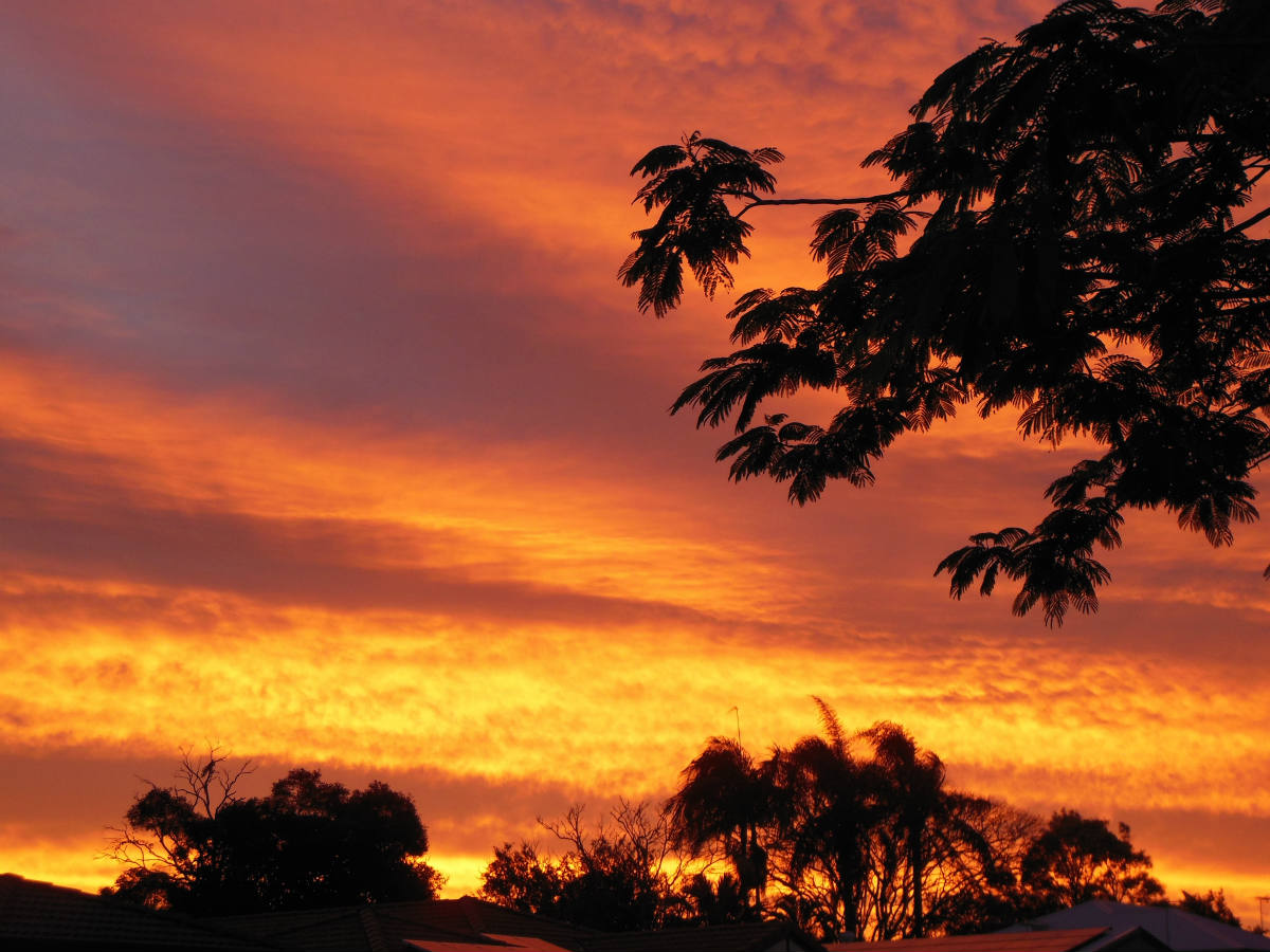 Solve Boxing Day Sunset jigsaw puzzle online with 80 pieces