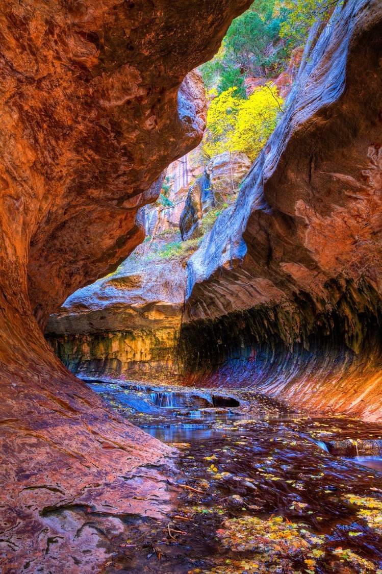 Jigsaw Puzzle | Sedona Red Rocks area vaca 09-2022 Subway tunnel and ...