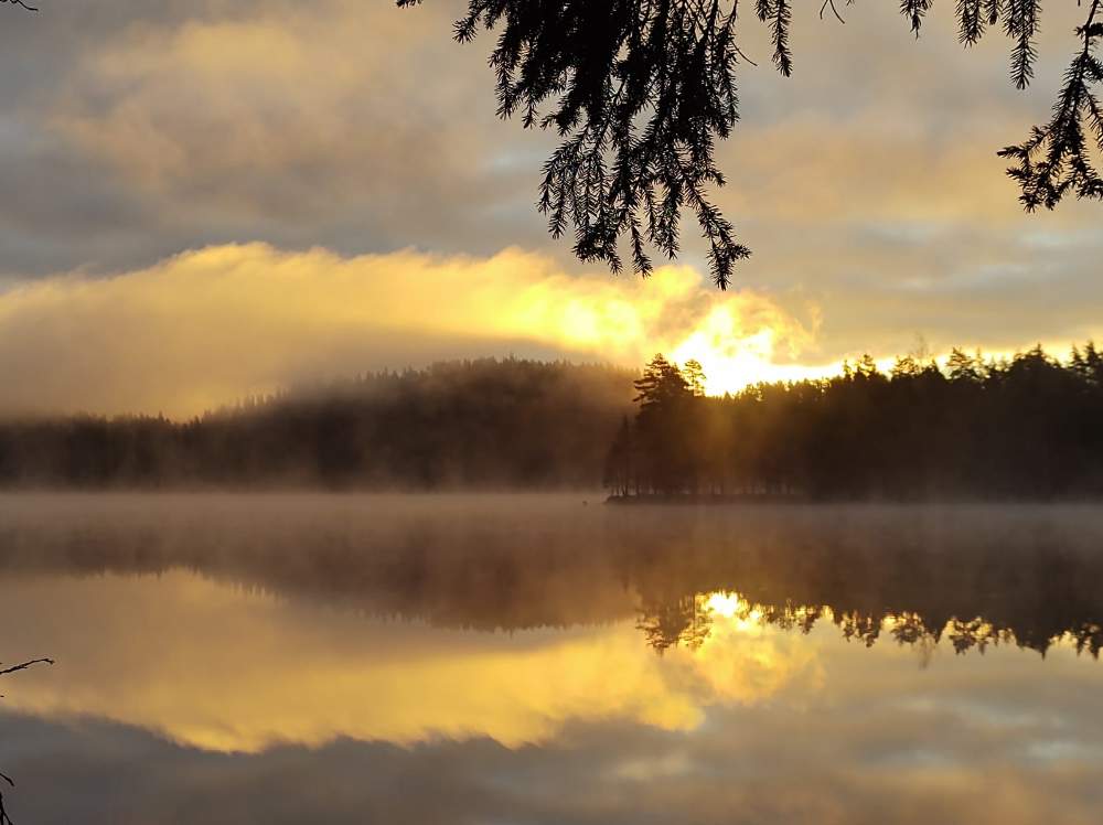 Jigsaw Puzzle | 12 pieces | Aamunkoi #2 | Jigidi