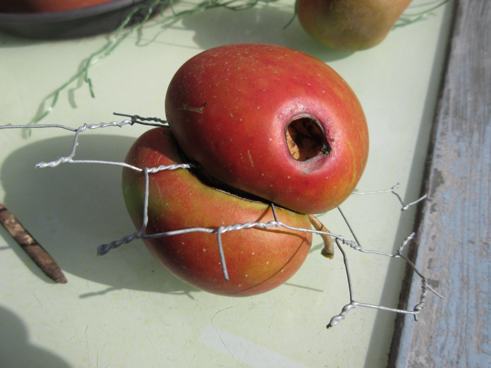 Solve Apples..... jigsaw puzzle online with 48 pieces