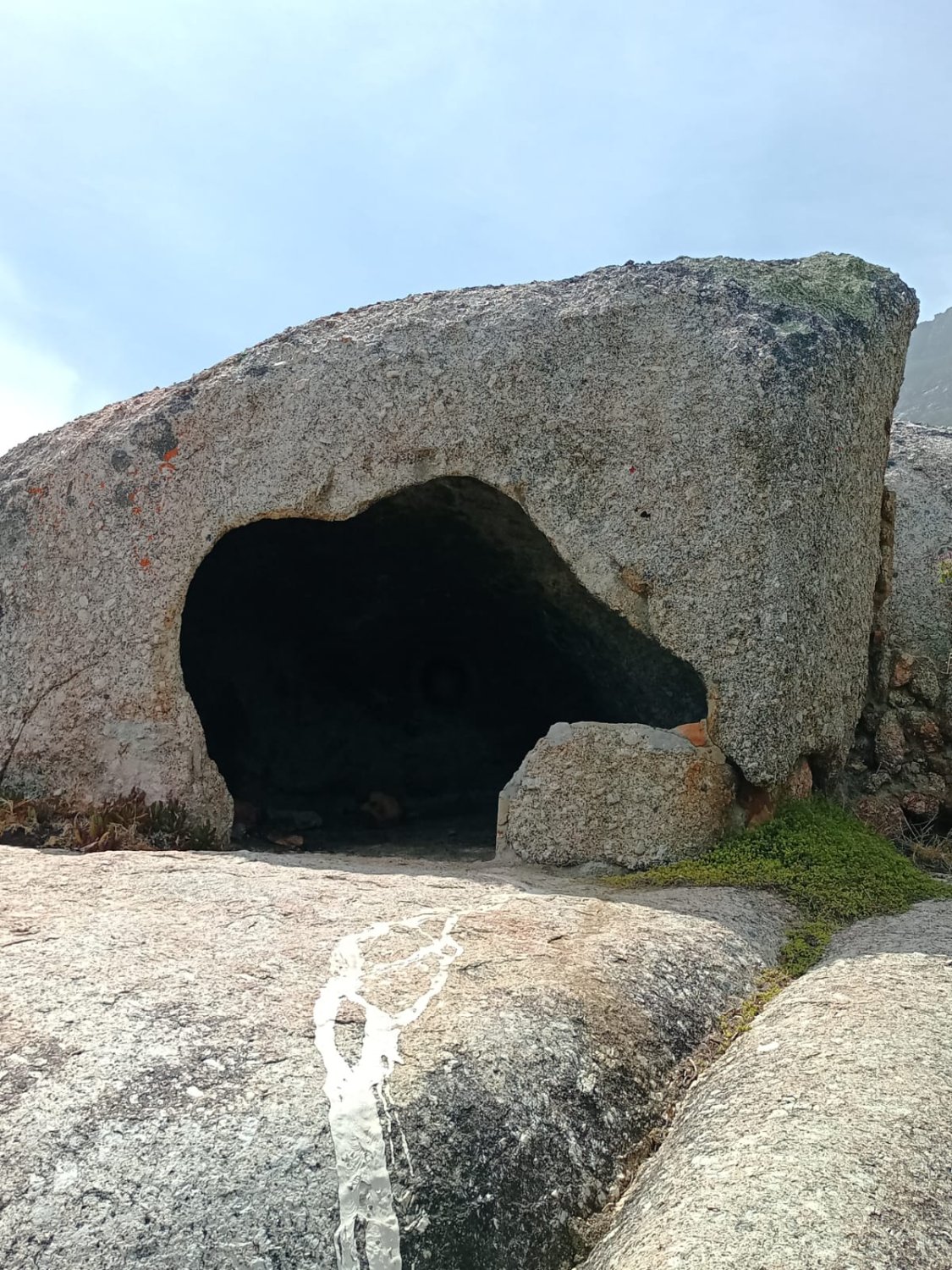 Jigsaw Puzzle | 154 pieces | Elephant hidyhole | Jigidi