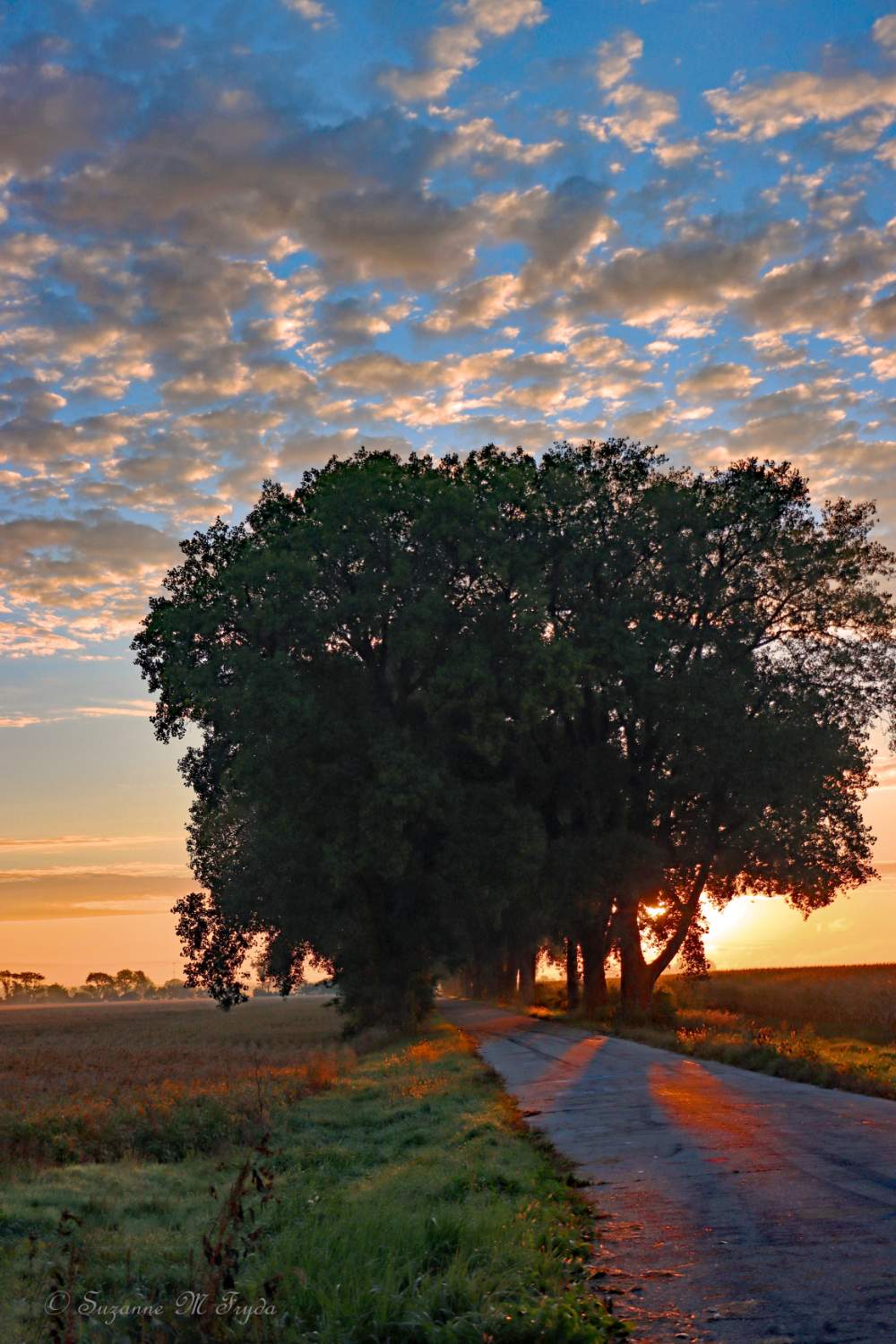 Solve IMG_5204 copy_2 WEARY ROAD....WI. jigsaw puzzle online with 260 ...