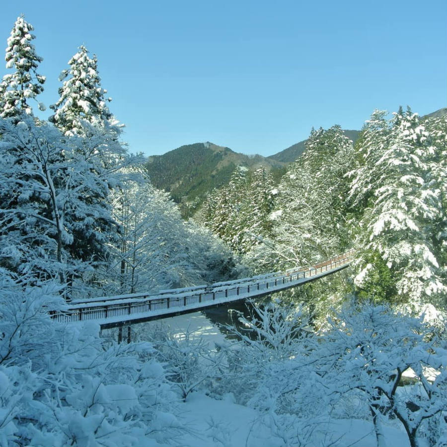 Solve Snowy bridge in Japan jigsaw puzzle online with 81 pieces