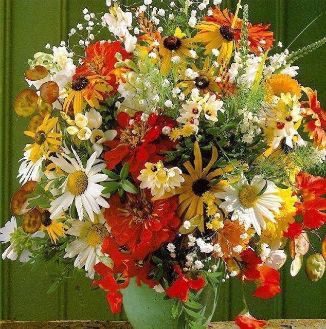 Solve Happiness is....A Glorious Riot of Colour and Flowers. jigsaw ...