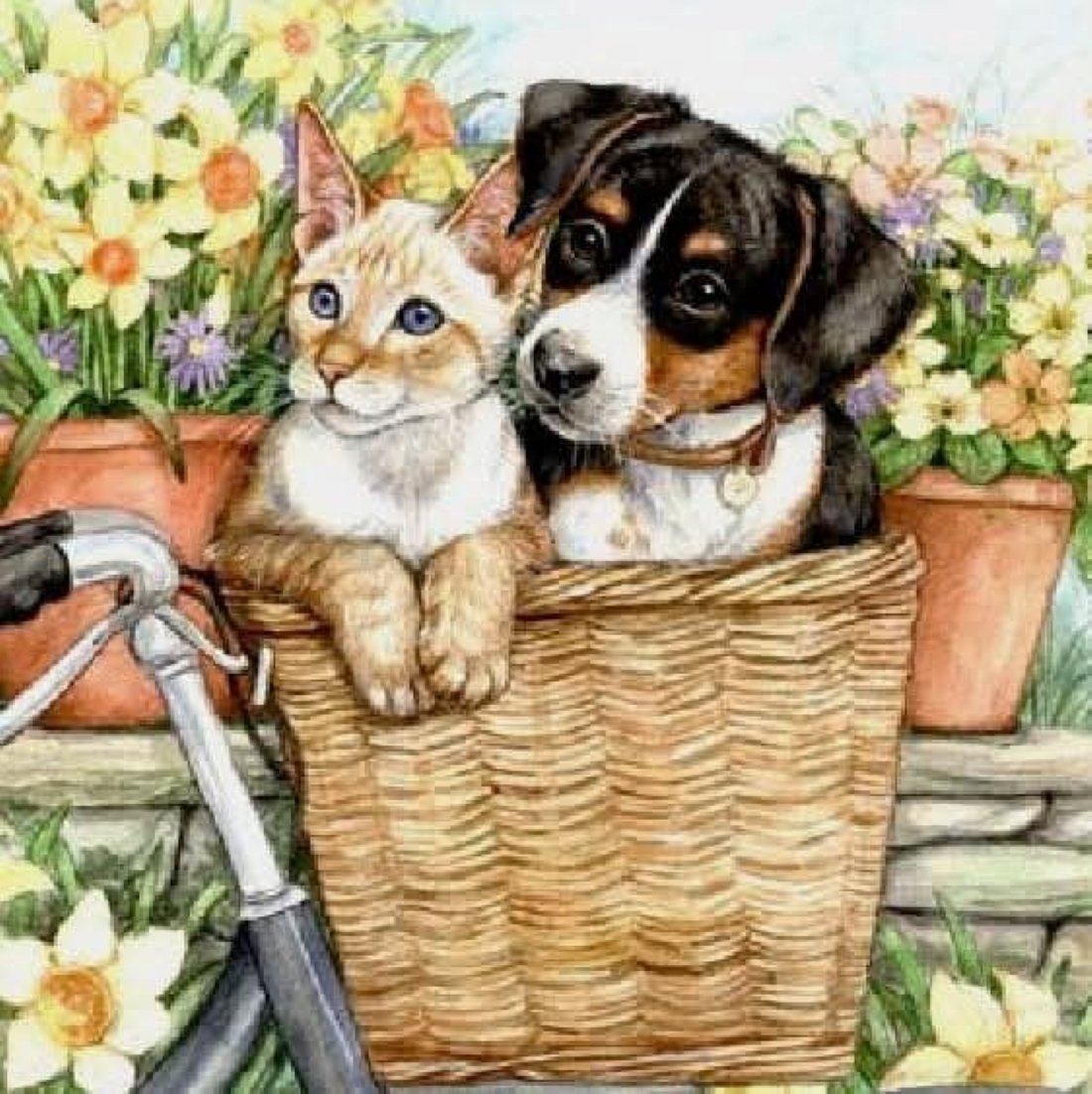 Solve puzzle jigsaw puzzle online with 256 pieces