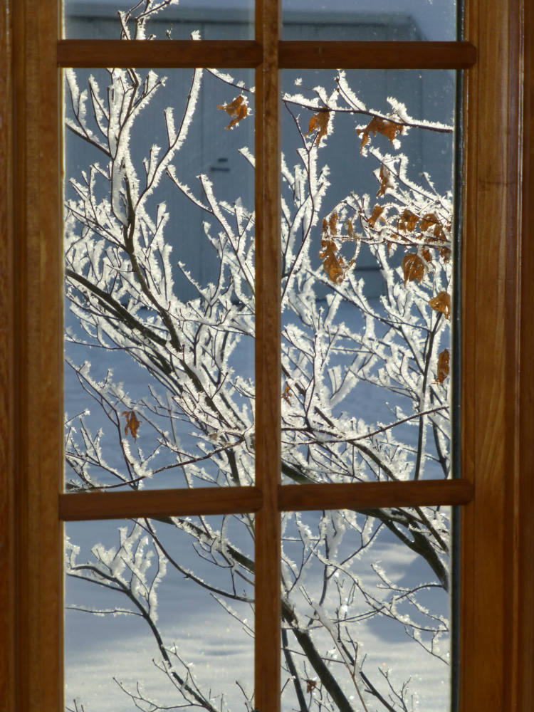 Solve Winter frost jigsaw puzzle online with 80 pieces