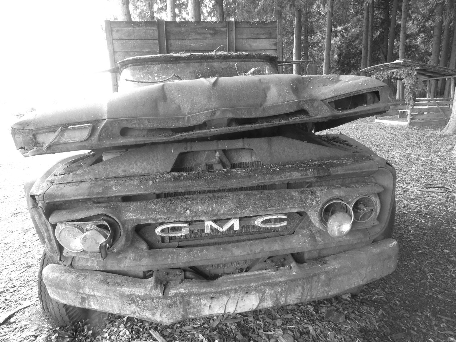 Solve Needs a little TLC jigsaw puzzle online with 48 pieces