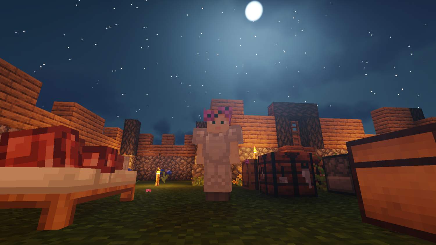 Solve Minecraft house in progress jigsaw puzzle online with 40 pieces