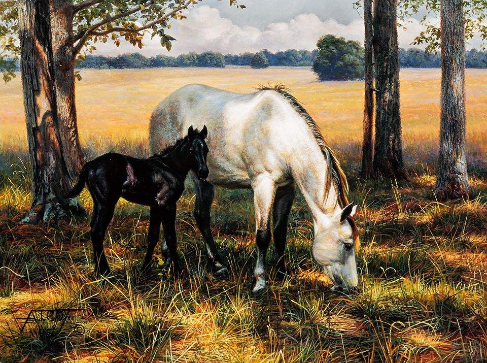 Solve "Mare and Foal" Tim Cox jigsaw puzzle online with 208 pieces