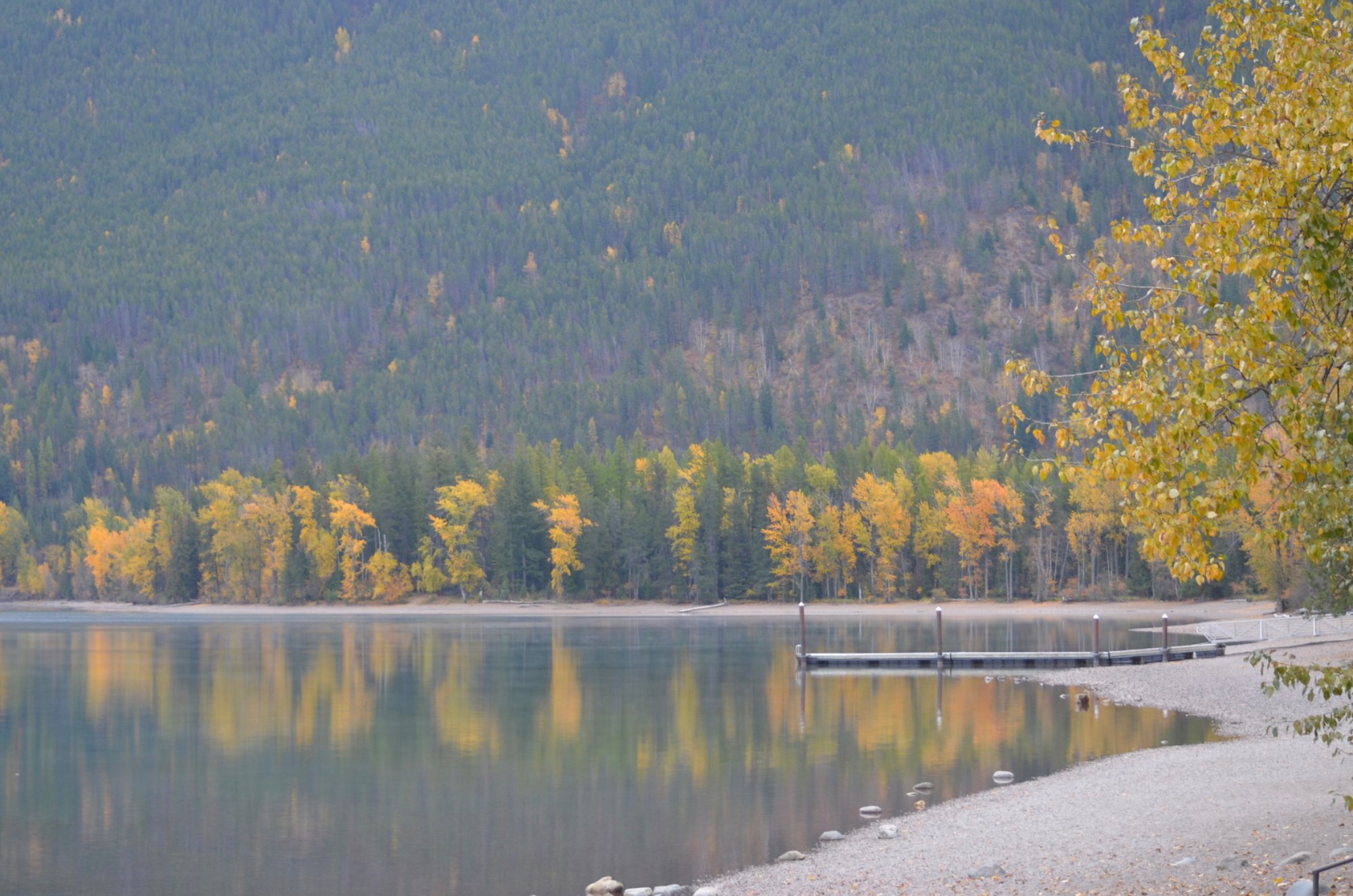 Jigsaw Puzzle | 117 pieces | Fall reflections | Jigidi