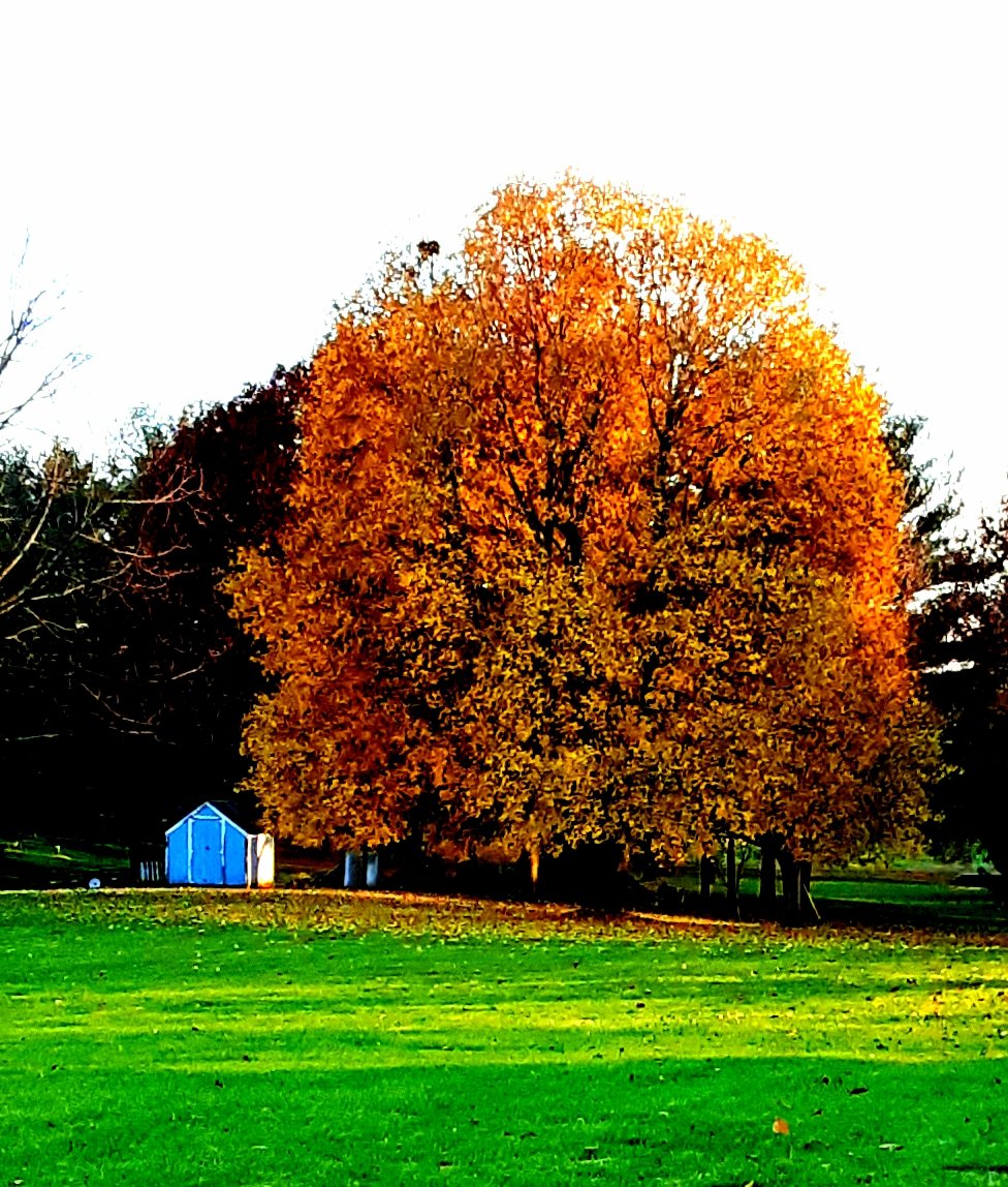 Solve Proportions jigsaw puzzle online with 90 pieces