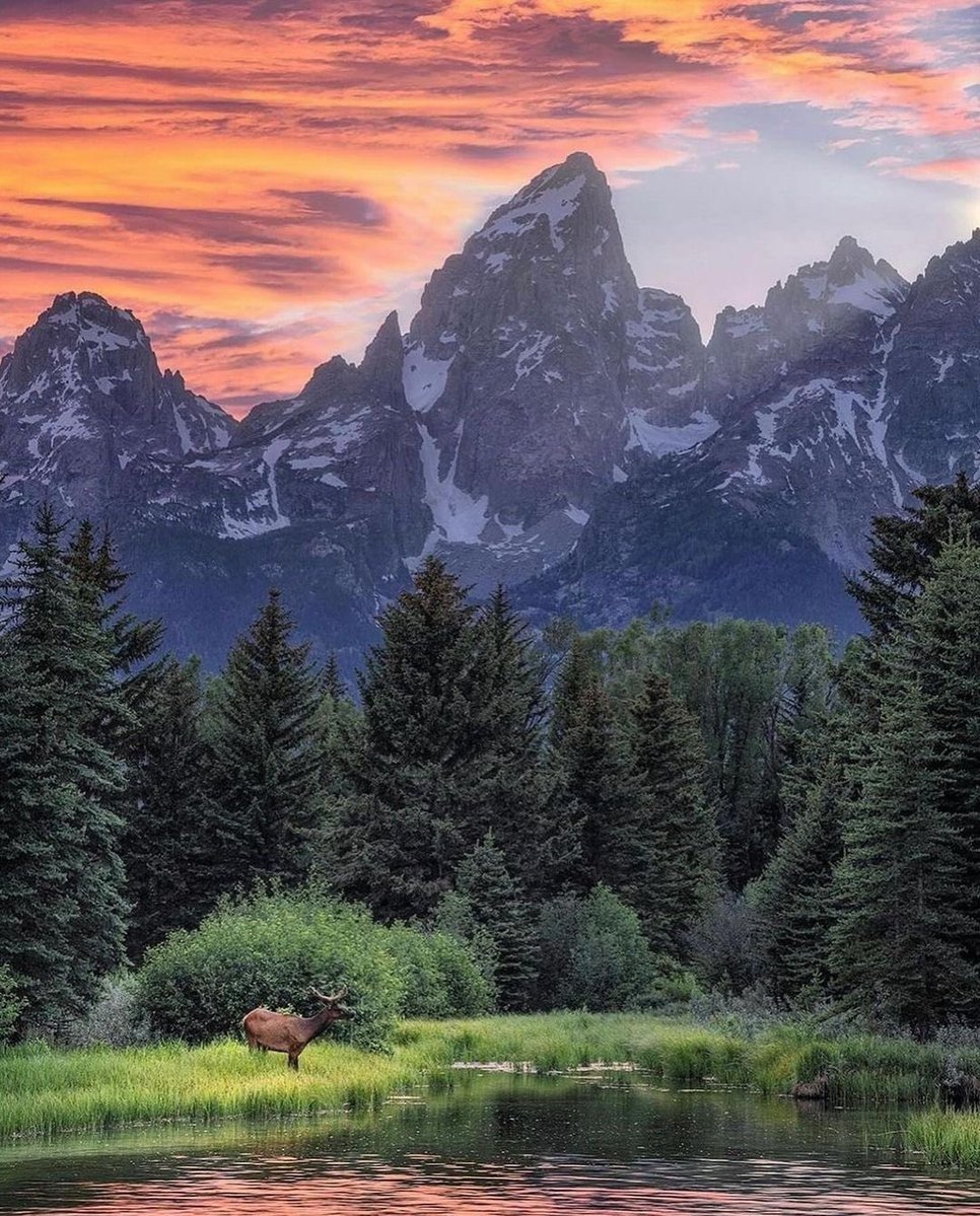 Solve Grand Teton National Park jigsaw puzzle online with 42 pieces