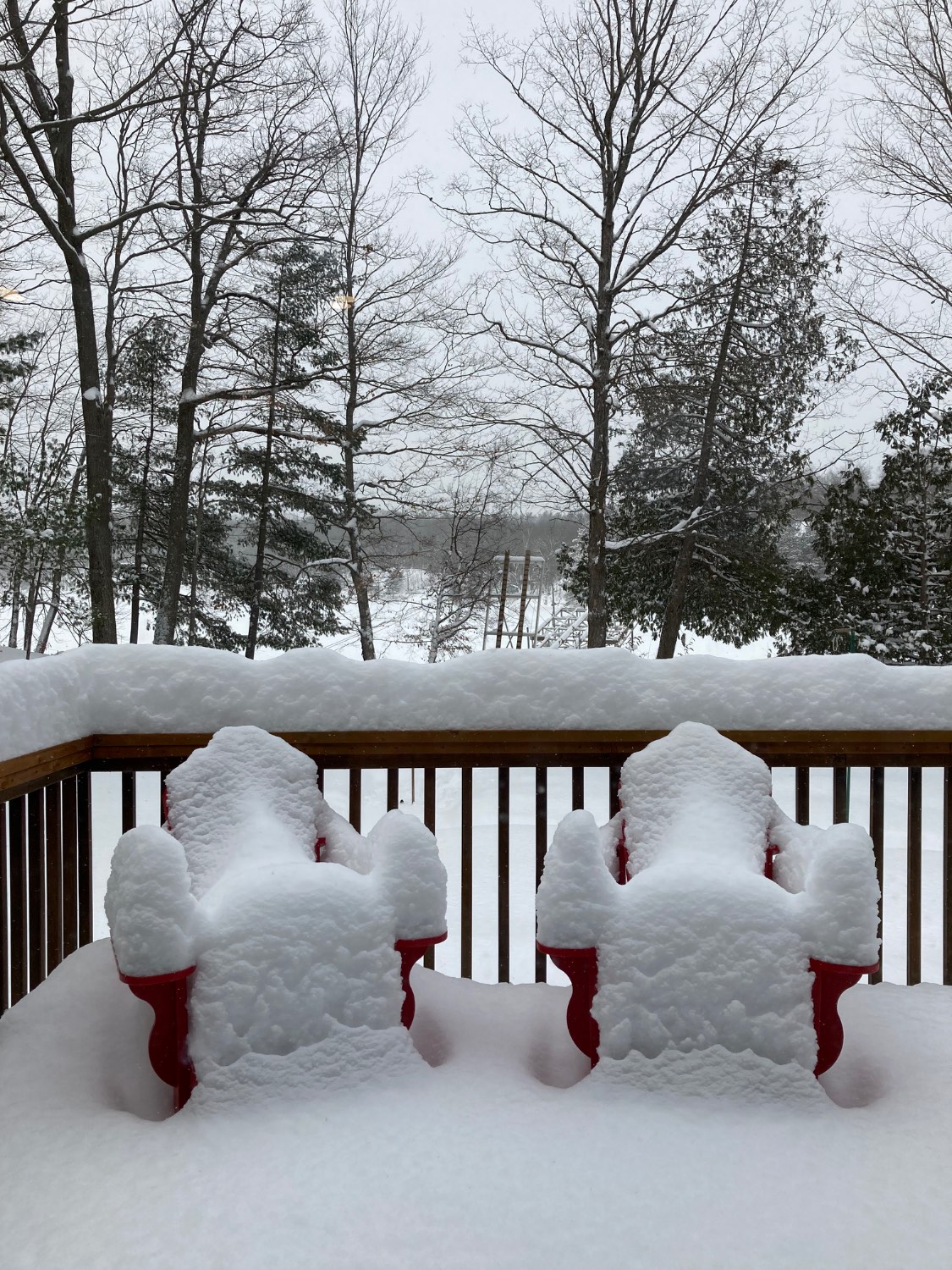 Solve Winter snow jigsaw puzzle online with 80 pieces
