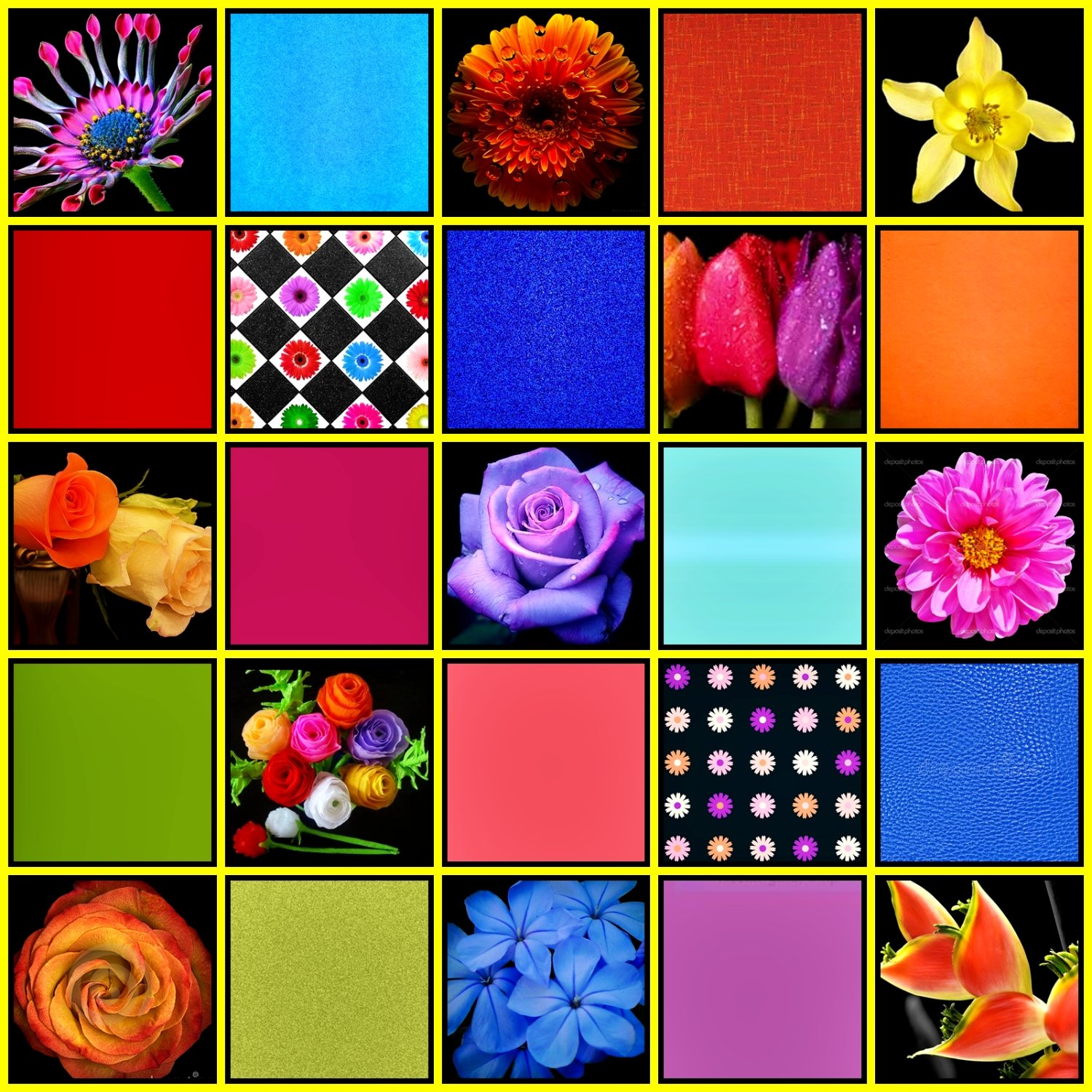 Solve Beautiful Flowers jigsaw puzzle online with 169 pieces