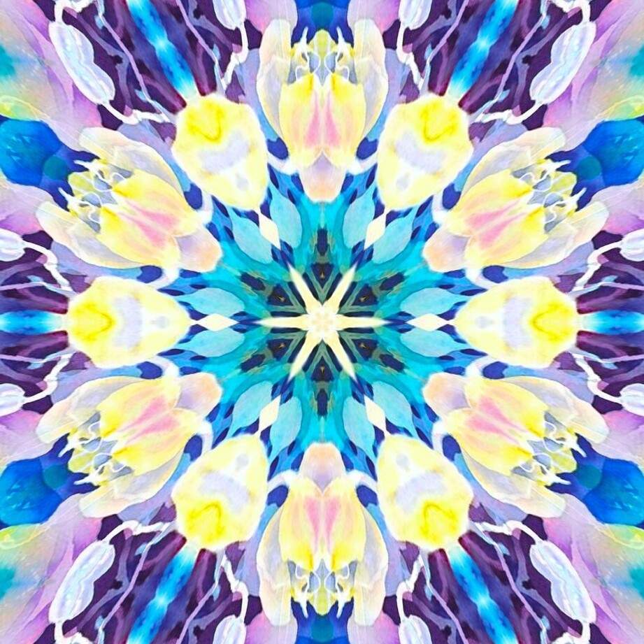 Solve pn204a5k jigsaw puzzle online with 49 pieces