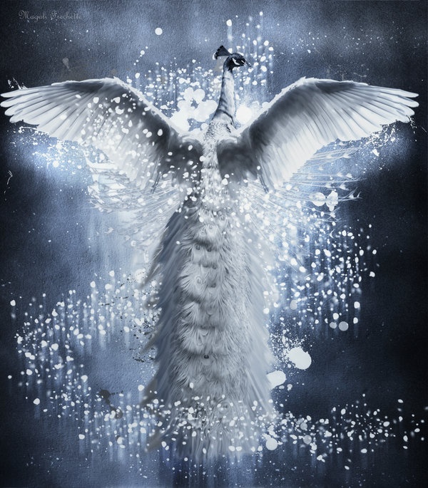 Solve Snow Phoenix jigsaw puzzle online with 42 pieces